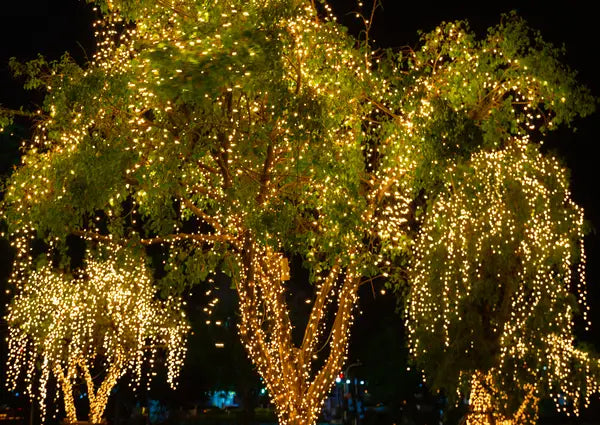 Cluster Lights: An A-to-Z Guide on How to Hang Cluster Lights on Trees ...